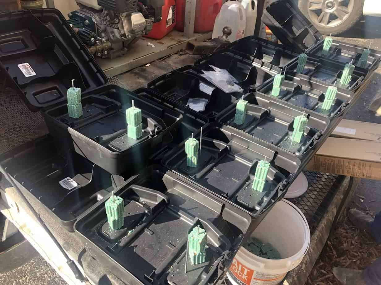 Gallery - FullScope Pest Control